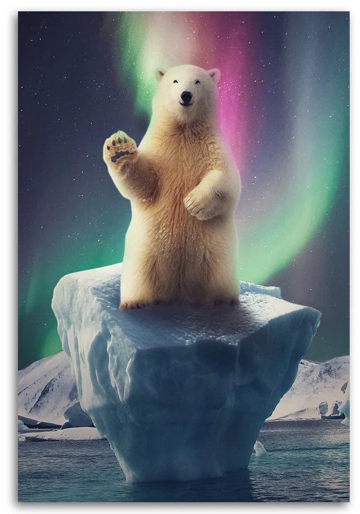 Gario Obraz na plátně Šťastný lední medvěd - Patryk Andrzejewski Rozměry: 40 x 60 cm