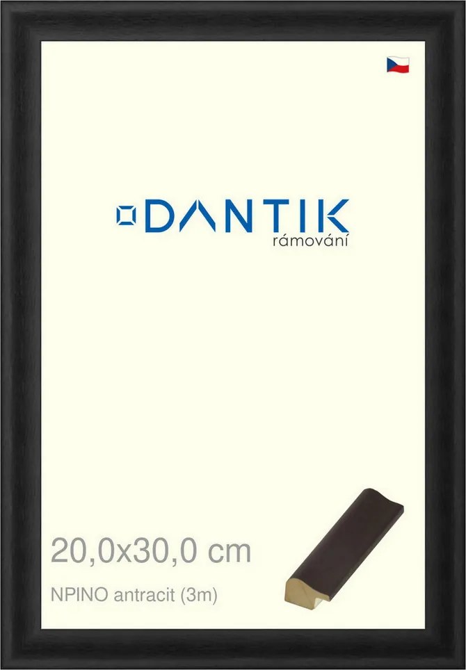 DANTIK rámeček 20x30 | NPINO antracit (Sklo Čiré)