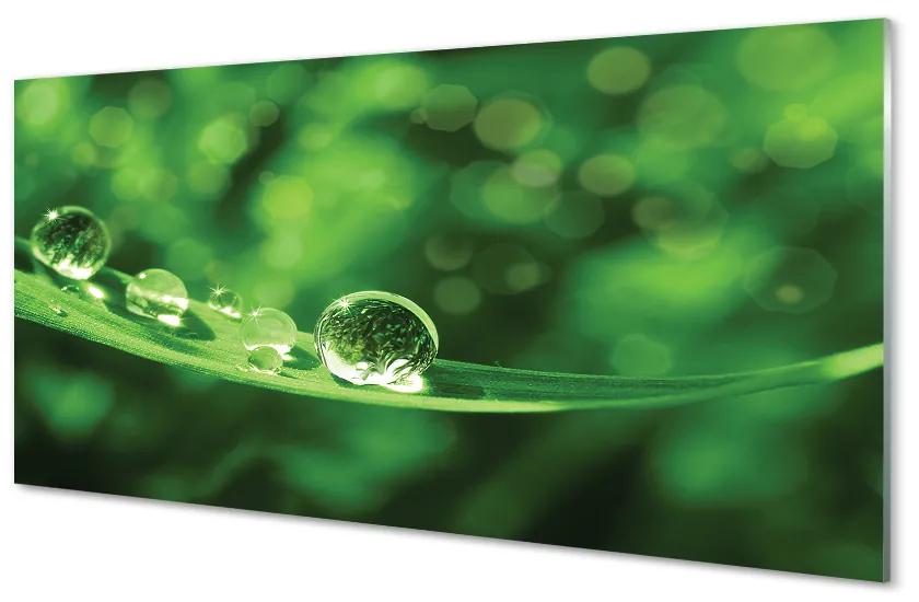Obraz na skle Vodní kapky makro 120x60 cm