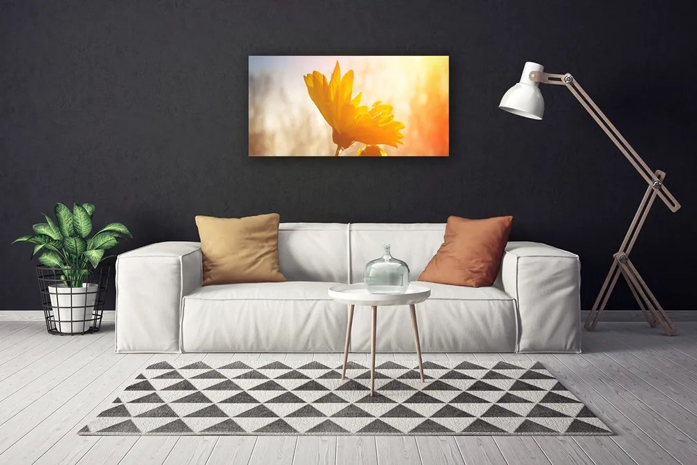 Obraz na plátně Slunečnice 140x70 cm