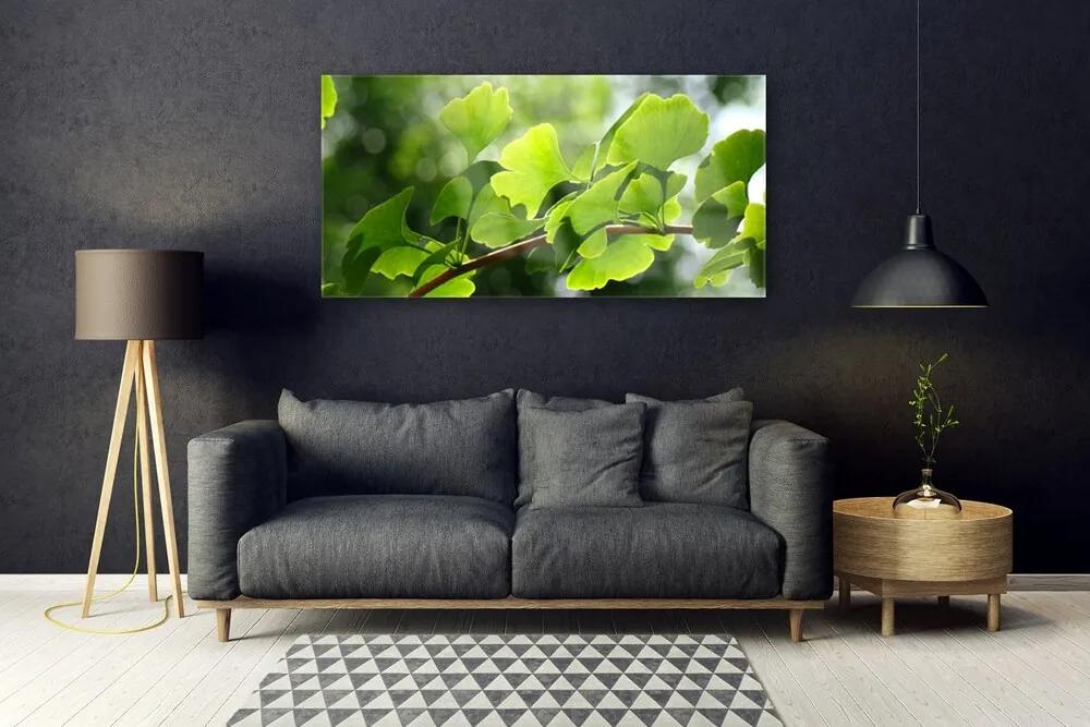 Plexisklo-obraz Větve Listy Příroda Strom 120x60 cm
