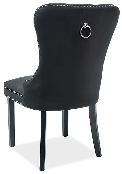Glamour židle AUGUSTUS Modrá
