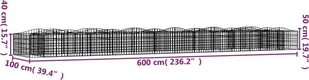 Klenutý gabion vyvýšený záhon 600x100x50 cm pozinkované železo 153552