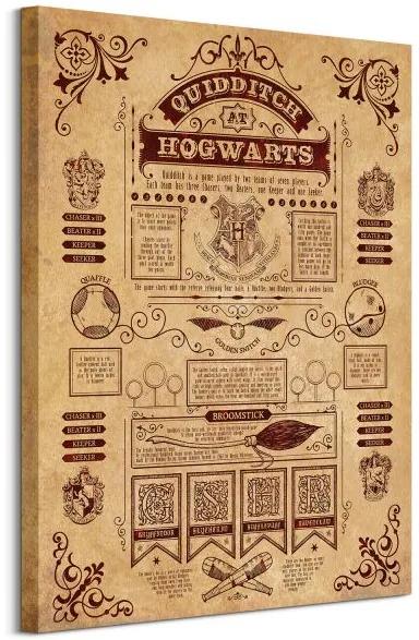 Obraz na plátně Harry Potter (Quidditch At Hogwarts) 60x80cm WDC99975