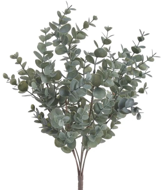 eukalyptus trs x7 - zelenošedá