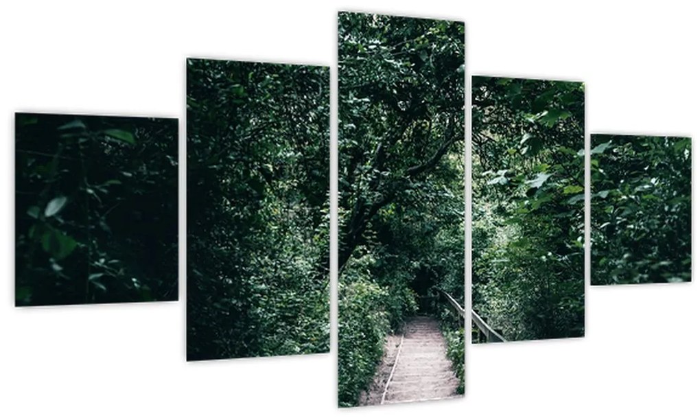 Obraz - Cesta lesem (125x70 cm)