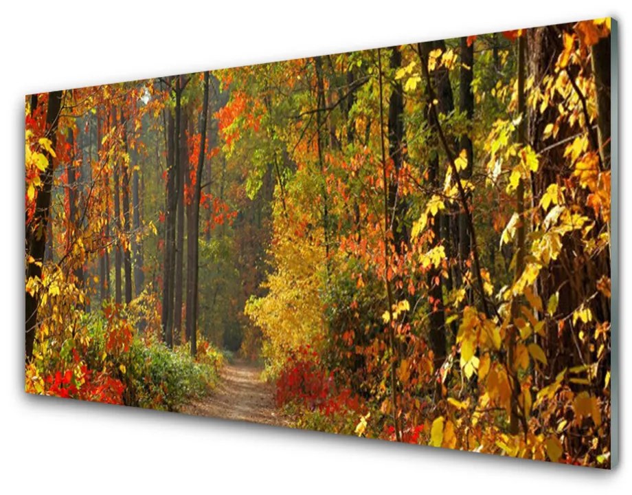 Plexisklo-obraz Les Příroda Podzim 125x50 cm