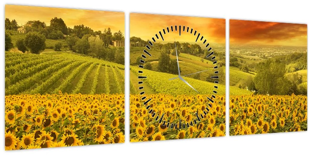 Obraz - Slunečnicové pole (s hodinami) (90x30 cm)