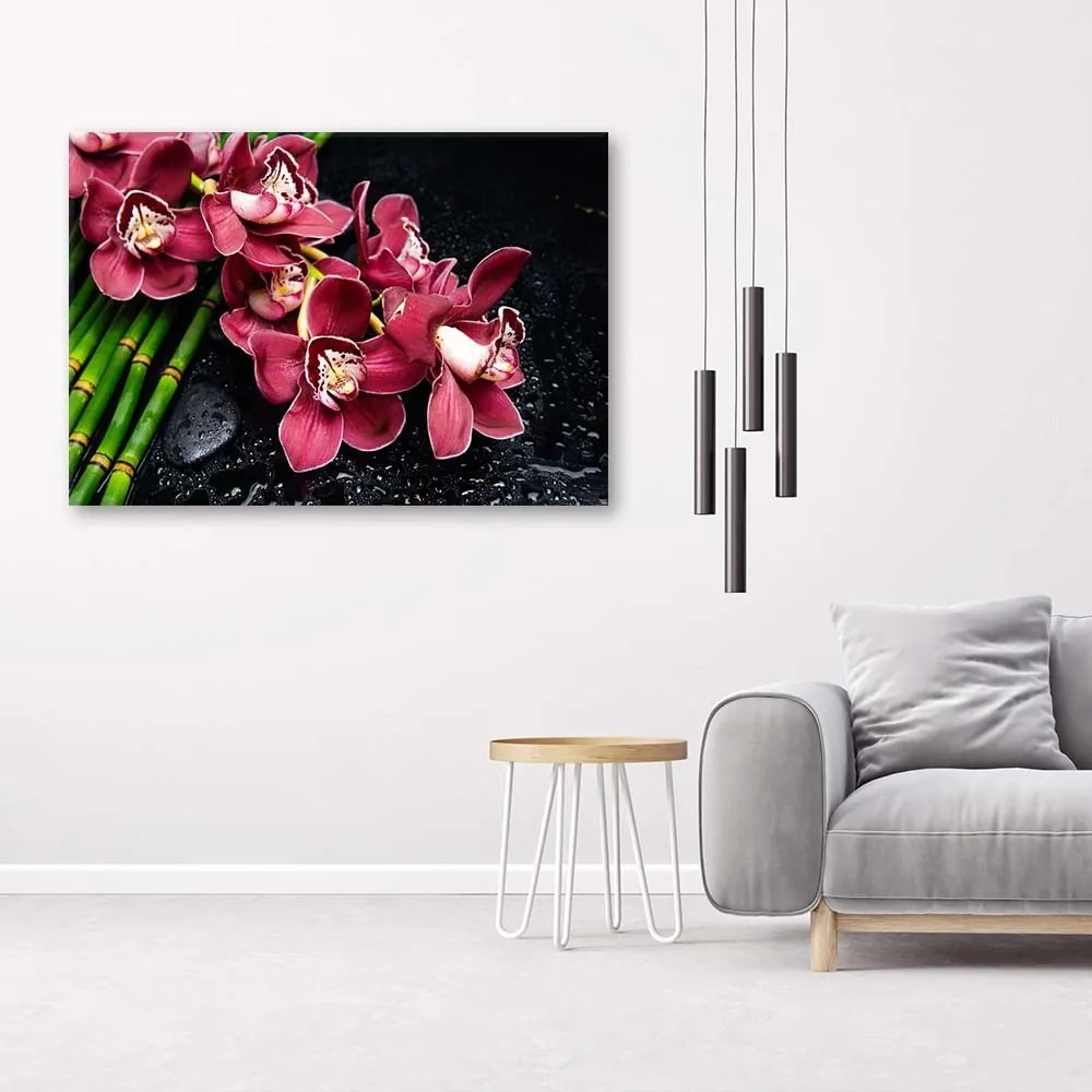 Gario Obraz na plátně Orchidej na bambusu Rozměry: 60 x 40 cm