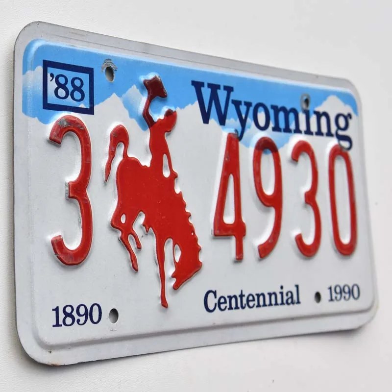 Americká SPZ Wyoming Bronco Centennial 3 4930