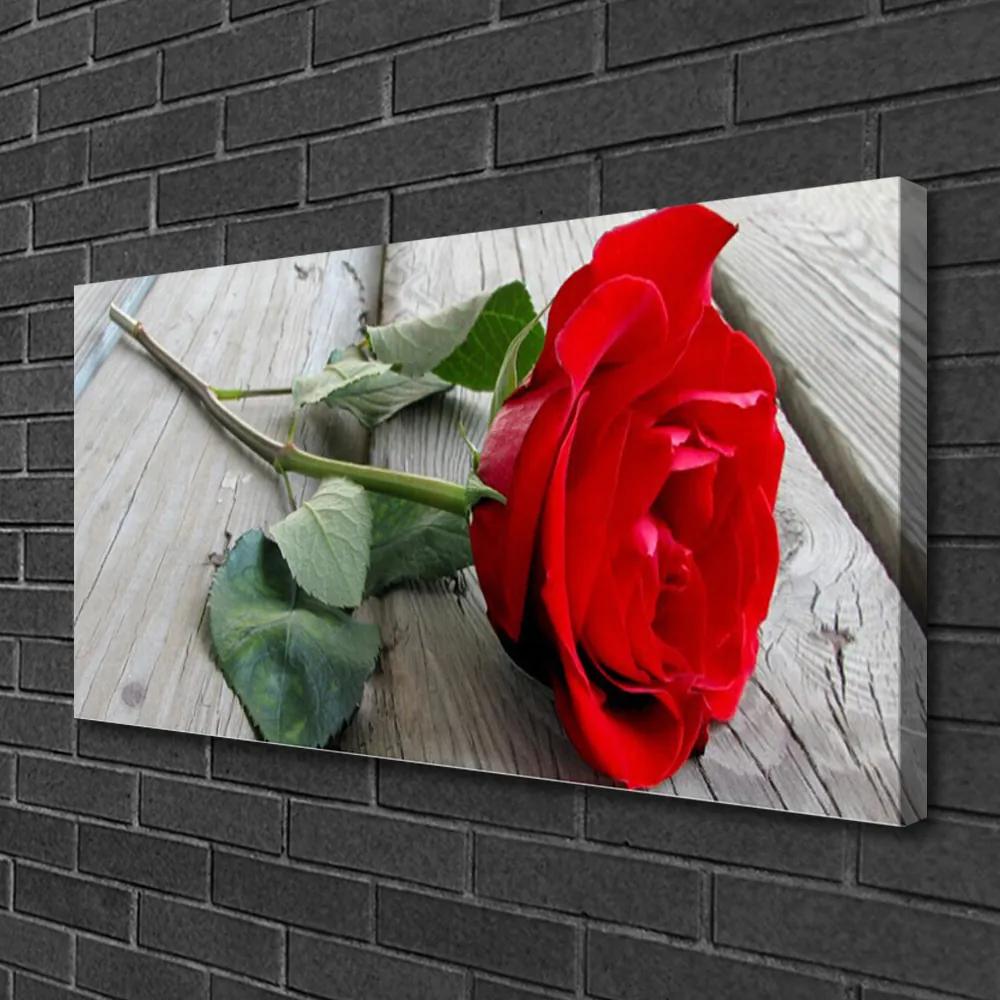 Obraz na plátně Růže Květiny 120x60 cm