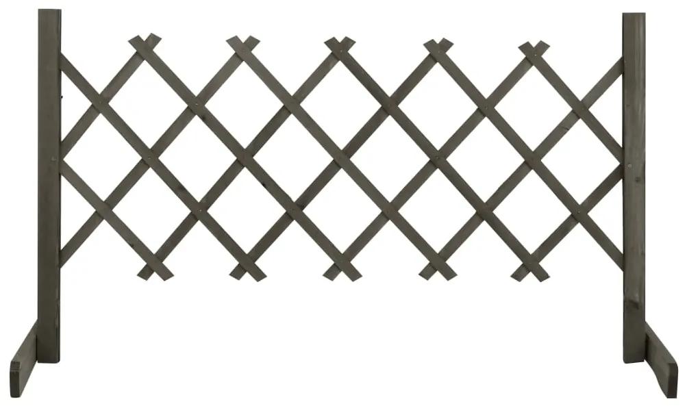 314823 vidaXL Zahradní trelážový plot šedý 120 x 60 cm masivní jedle