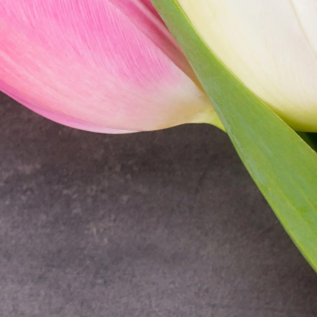 Malvis ® Tapeta Kytice tulipánů Vel. (šířka x výška): 216 x 140 cm