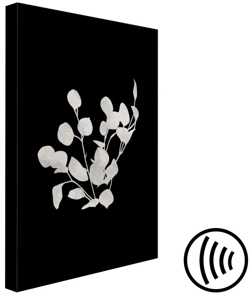 Obraz Eukalyptové větve - minimalistická rostlina na tmavém pozadí