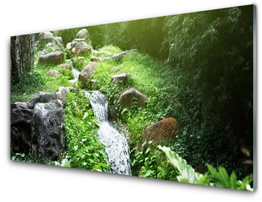 akrylový obraz Potom Trávy Příroda 140x70 cm