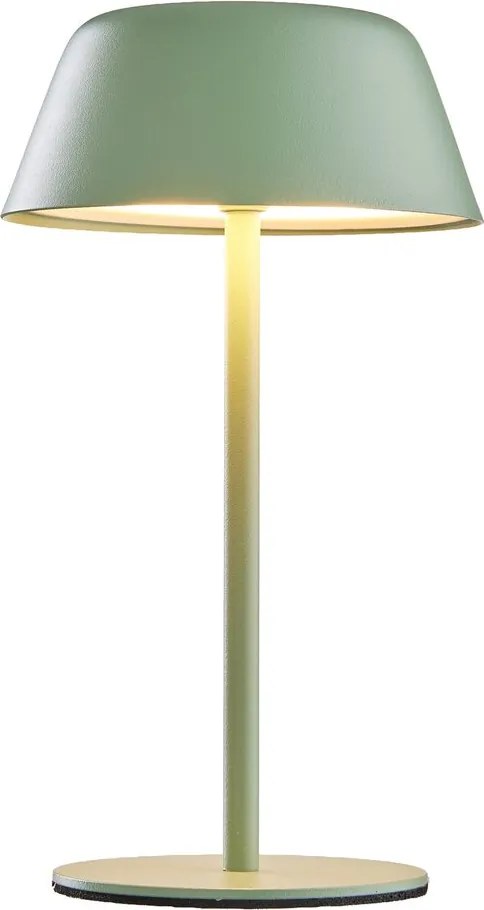 LIGHT UP LED Stolní lampa - šalvějová