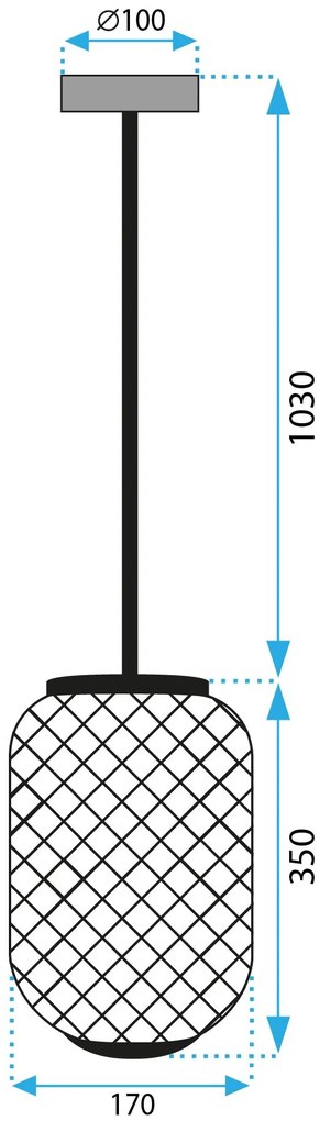 Toolight Stropní svítidlo APP1424-1CP
