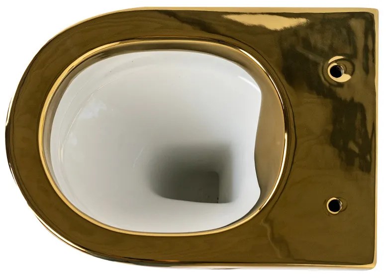 BPS-koupelny Závěsná WC mísa se SoftClose sedátkem HYD-4153, bílá/zlatá