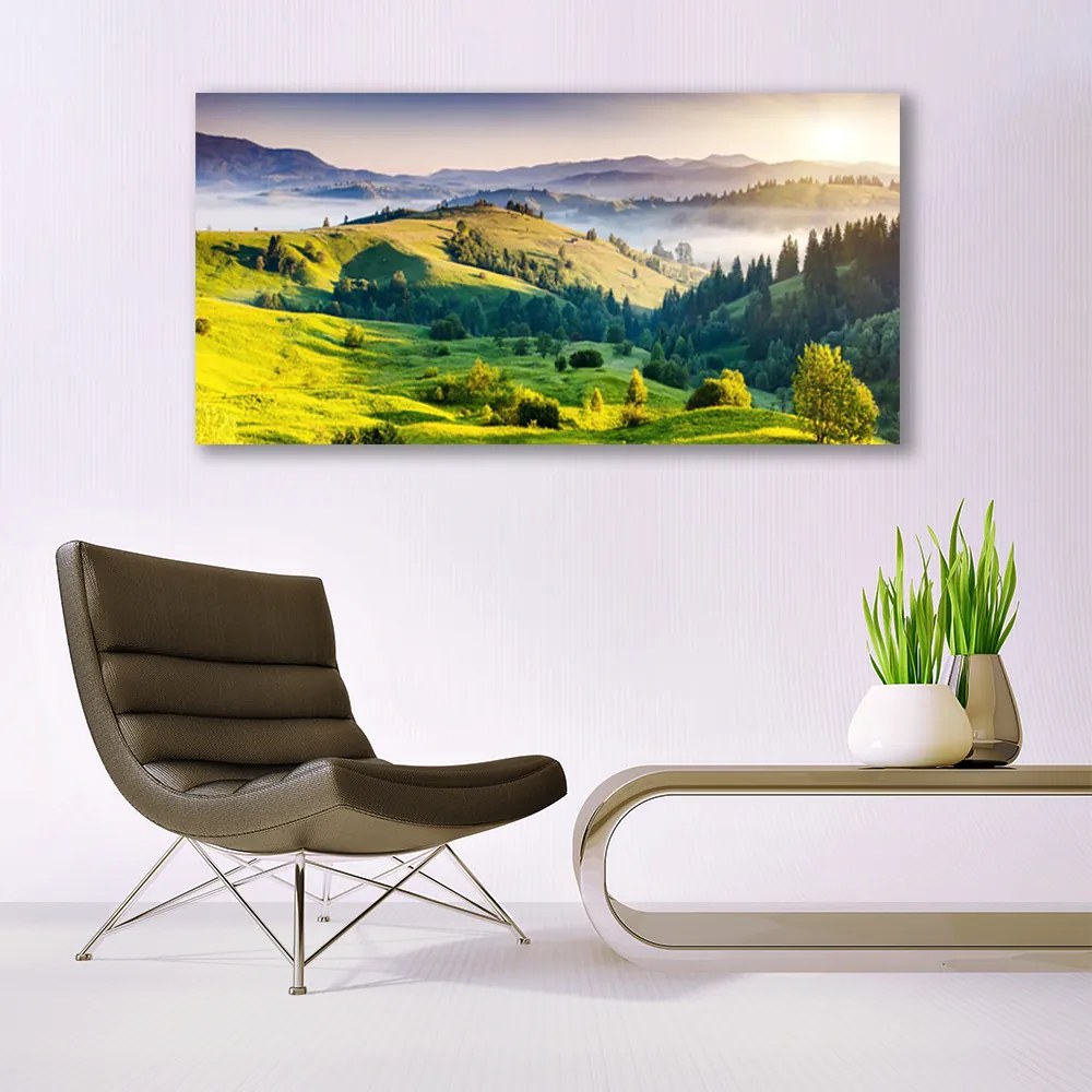 akrylový obraz Hora Pole Mlha Příroda 120x60 cm