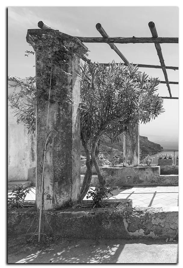 Obraz na plátně - Starověká zahrada na mořském pobřeží - obdélník 7249QA (90x60 cm  )