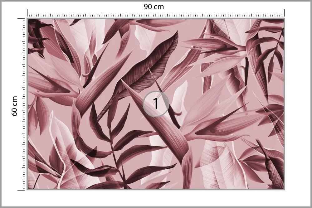 Fototapeta Tropicalia Pink Hladký vinyl 104x70.5
