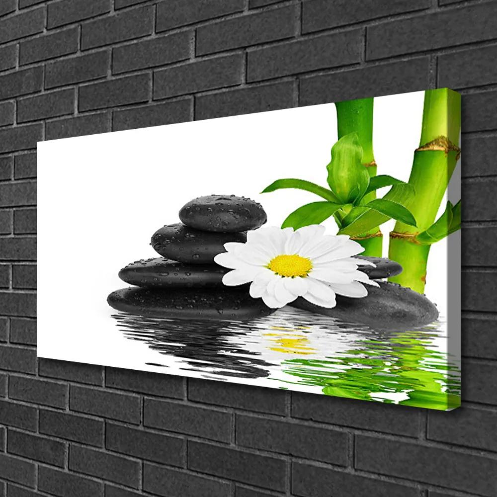 Obraz na plátně Kameny Zen Bambus Výhonky 140x70 cm
