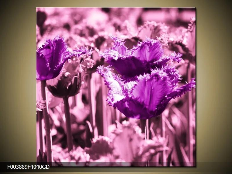 Obraz fialových a růžových květů  (), 40 dalších rozměrů