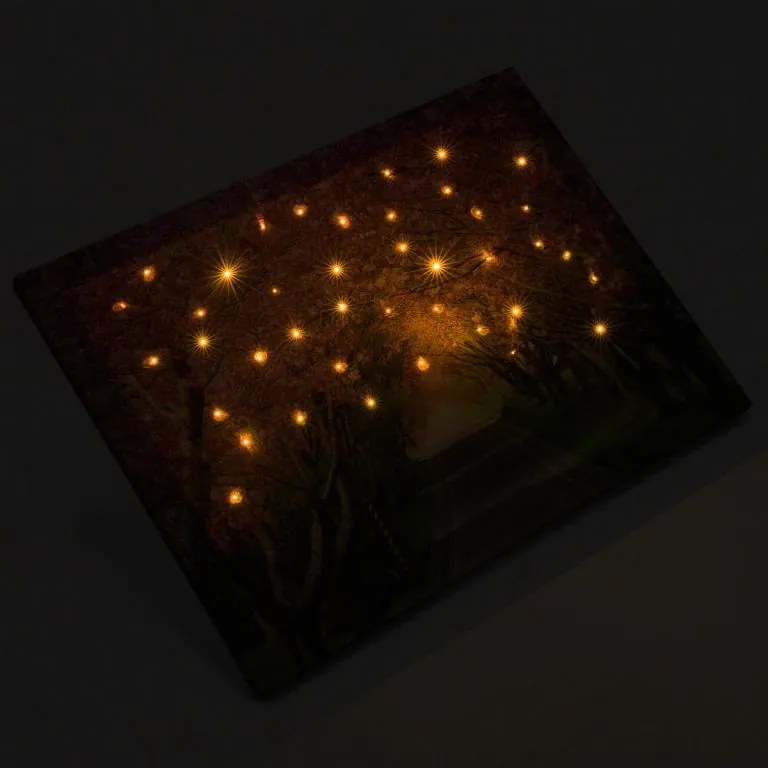 Nexos  Nástěnná malba rozkvetlá alej stromů, 40 LED, 30 x 40 cm