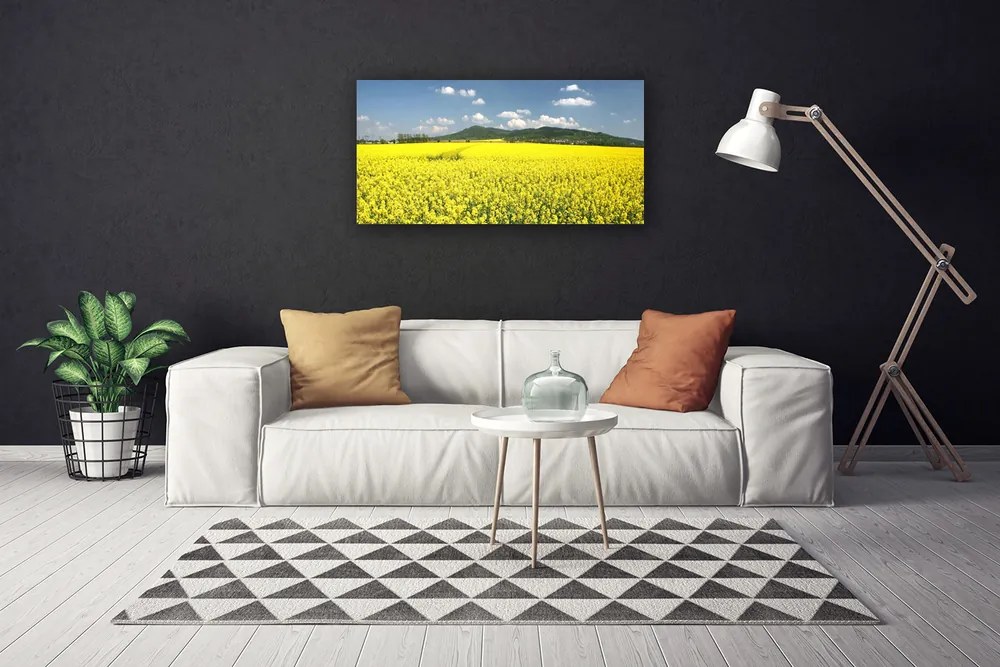Obraz na plátně Pole Louka Příroda Řepka Olejka 120x60 cm