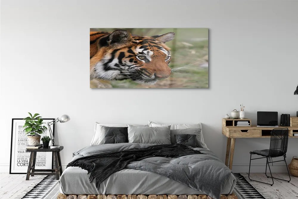 akrylový obraz Tiger Woods 140x70 cm