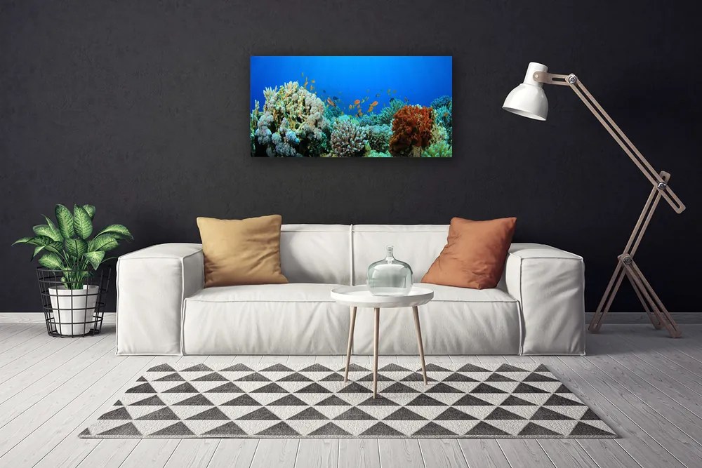 Obraz na plátně Korálový Útes Příroda 120x60 cm