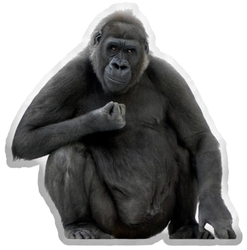 Polštářek 3D - Gorila