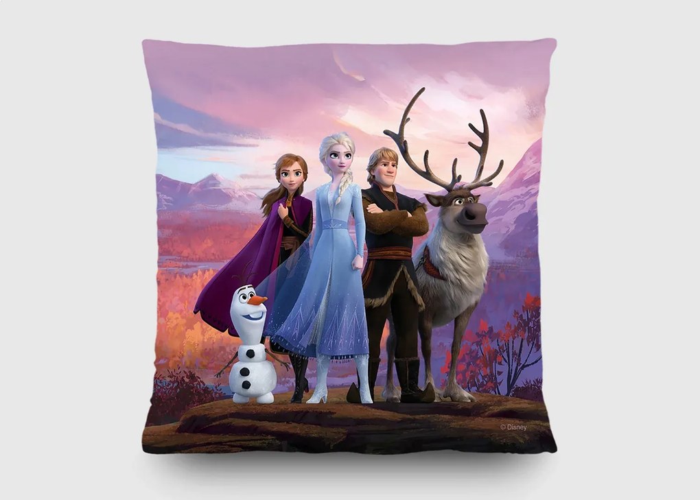 Dekorativní polštářek Ledové Království v Lese, Disney | 40 x 40 cm | DCND 3129