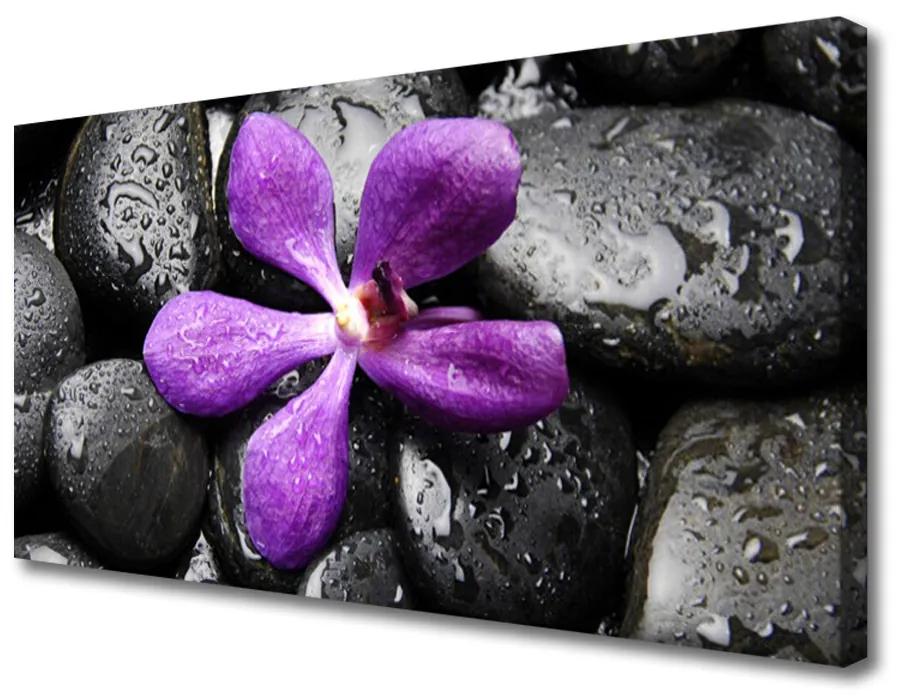 Obraz na plátně Květ Kameny Umění 100x50cm