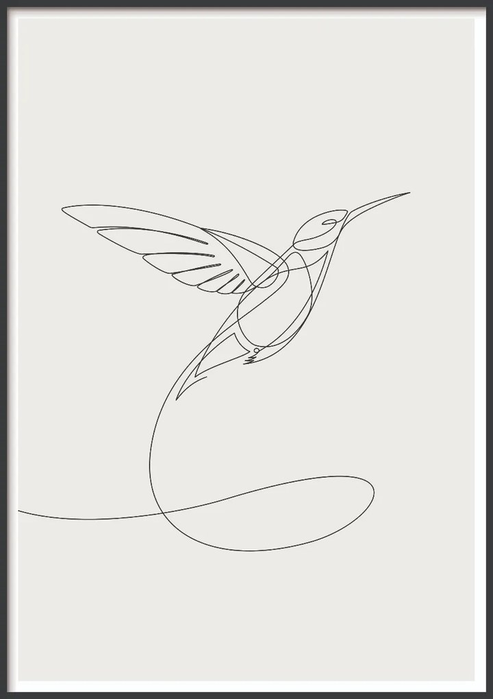 DecoKing - Nástěnný plakát - Sketchline - Hummingbird