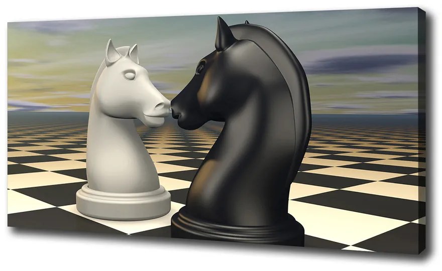 Wallmuralia Foto obraz canvas Šachy koně 100x50 cm