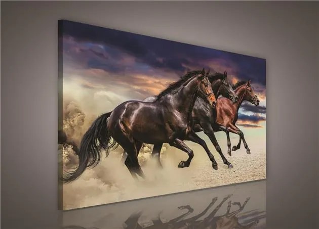 Obraz na plátně stádo koní 75 x 100 cm