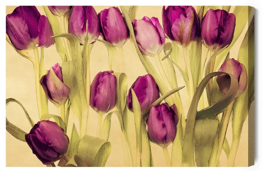 Obraz Tulipány V Retro Stylu Nedostatek Nedostatek Přírodní plátno 120x80