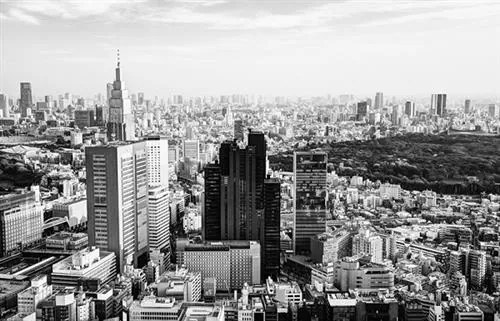 Luxusní vliesové fototapety Tokyo - černobílé, rozměr 418,5 cm x 270 cm