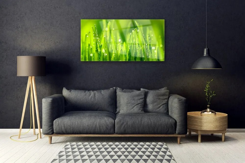 Obraz na skle Zelená Tráva Kapky Rosy 120x60 cm