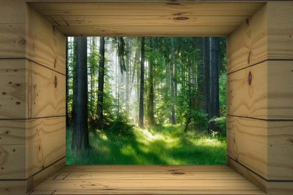 3D obraz výhled do lesa Velikost (šířka x výška): 150x100 cm