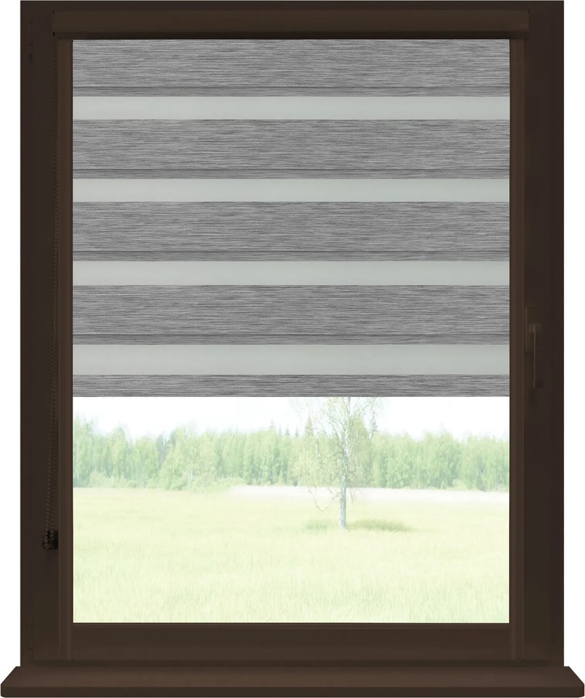 Dekodum Roleta den a noc v hnědé kazetě zatemňovací, barva látky Stříbrná Šířka (cm): 39, Výška (cm): Balkonová (do 200 cm), Strana mechanismu: Práva