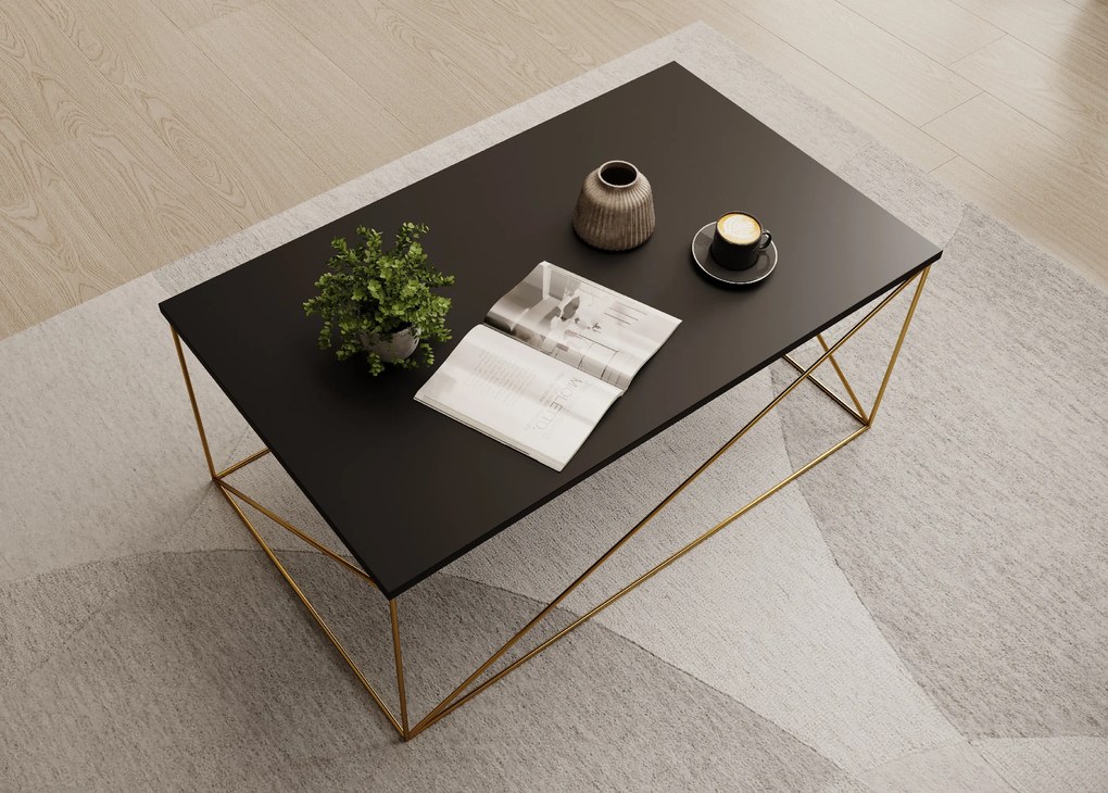ADRK Furniture Konferenční stolek Dante CT-DAN-G-B