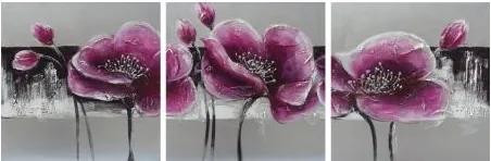 Obrazy - Fialové květy