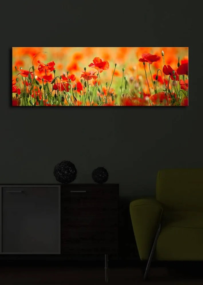 Obraz s led osvětlením Sean 90x30 cm