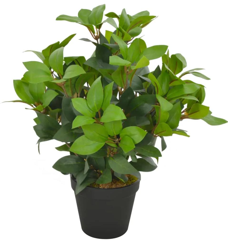 Umělá rostlina vavřín vznešený s květináčem zelená 40 cm - Default Title