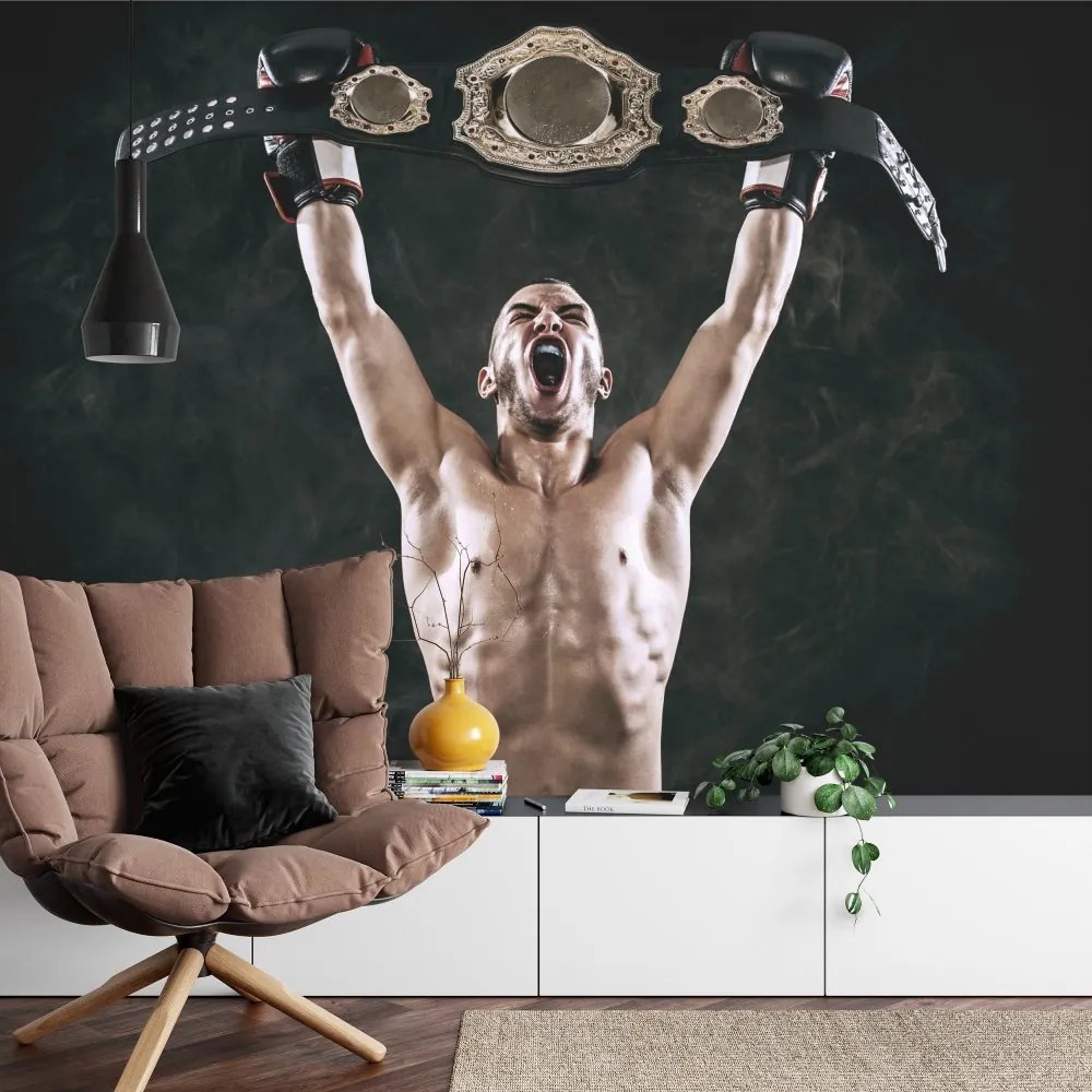 Fototapeta Vítězný Boxer Hladký vinyl 360x240