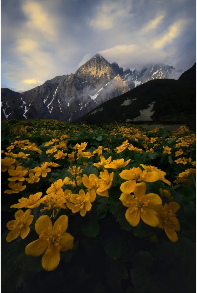 Filip Hrebenda | The High Tatras Rám: Dubový, Velikost: 30 x 20 cm