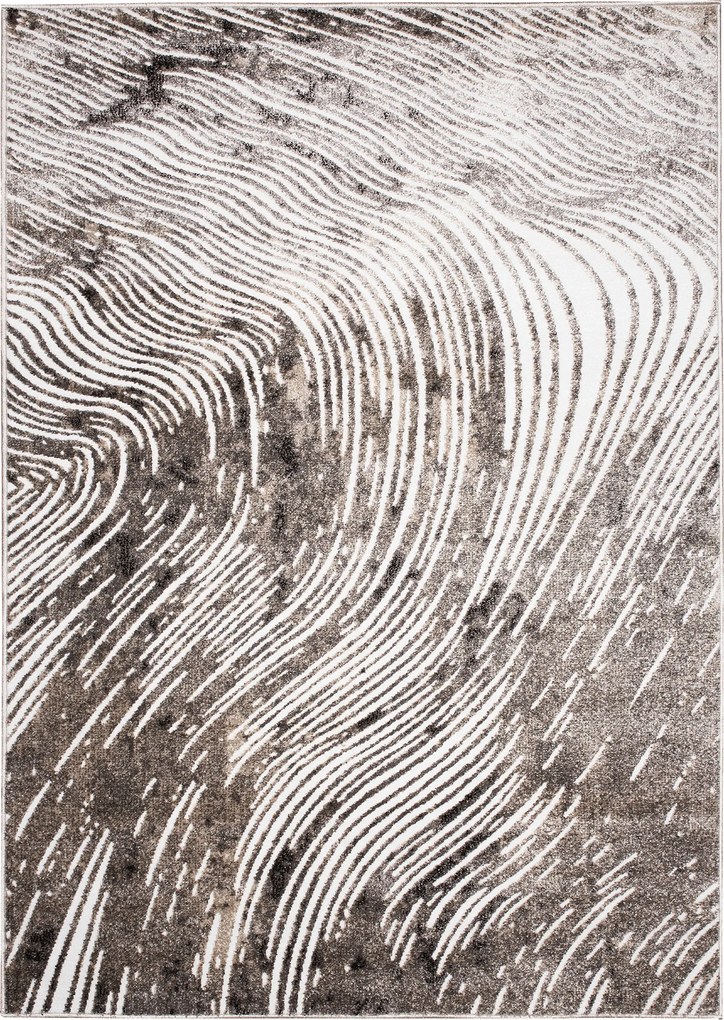 Koberec Nil 140x200 Moderní s leskem Módní v10