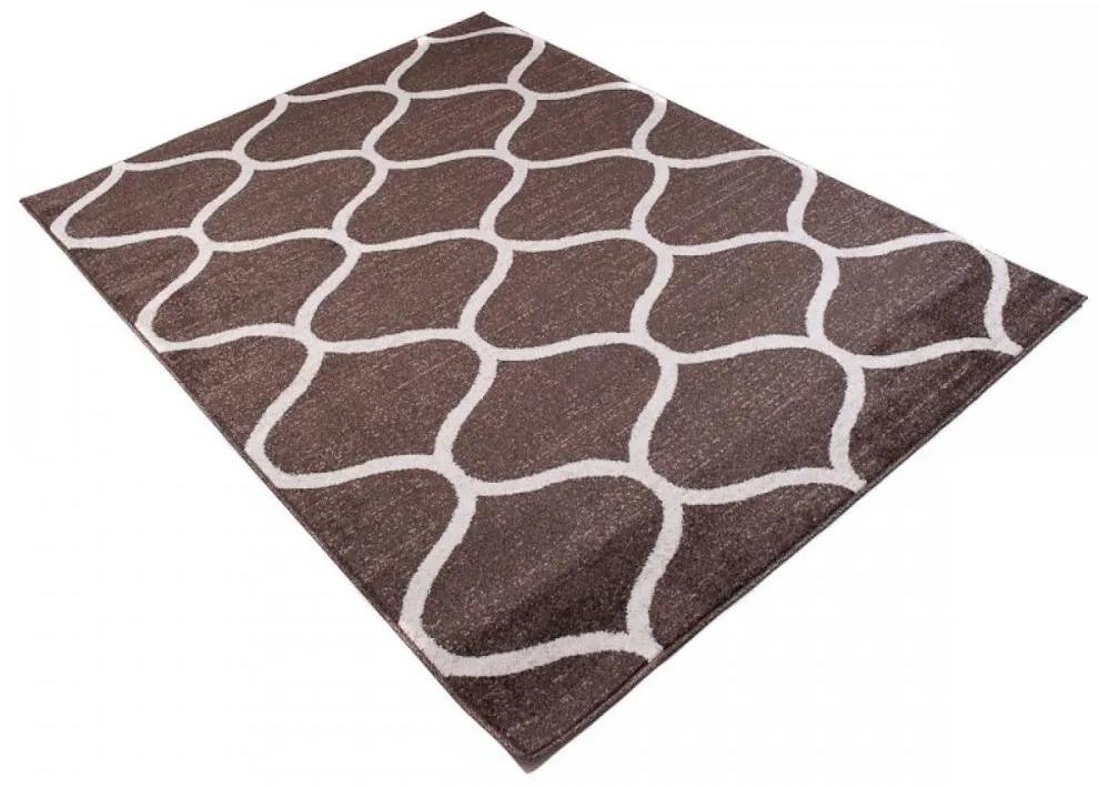 Kusový koberec Luka hnědý 220x320cm